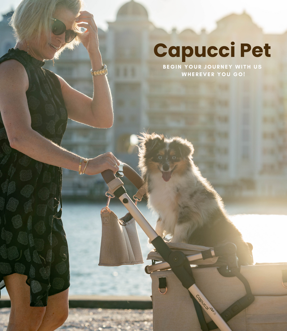 美式風格 ～ 帶籃秒收，提籃分離。 一次擁有，卡普奇！